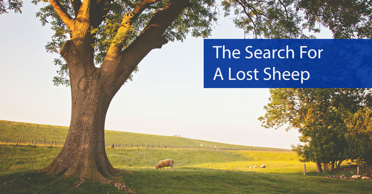 The Search for a Lost Sheep