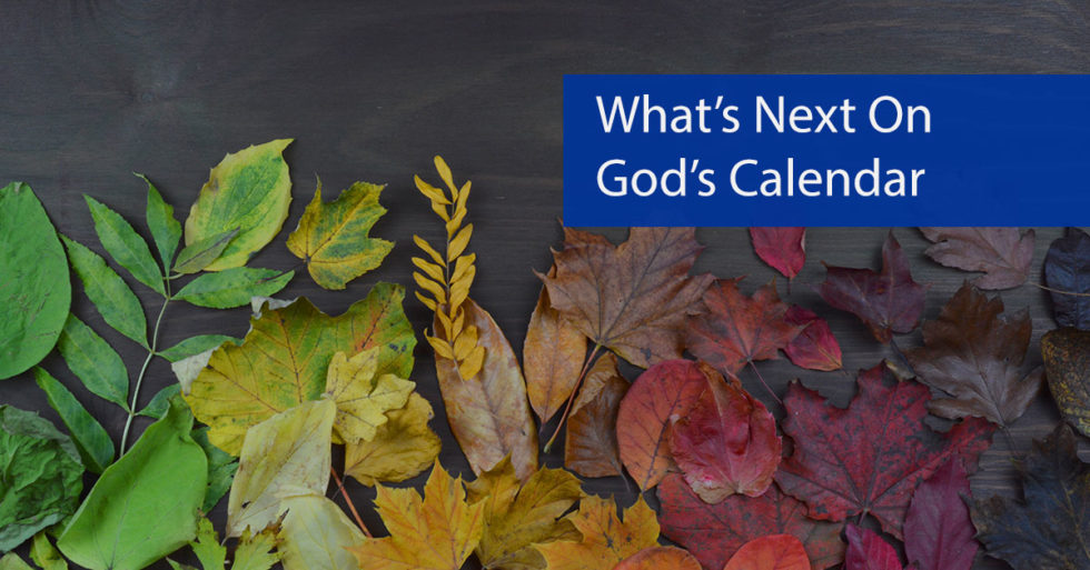 What's Next on God's Calendar