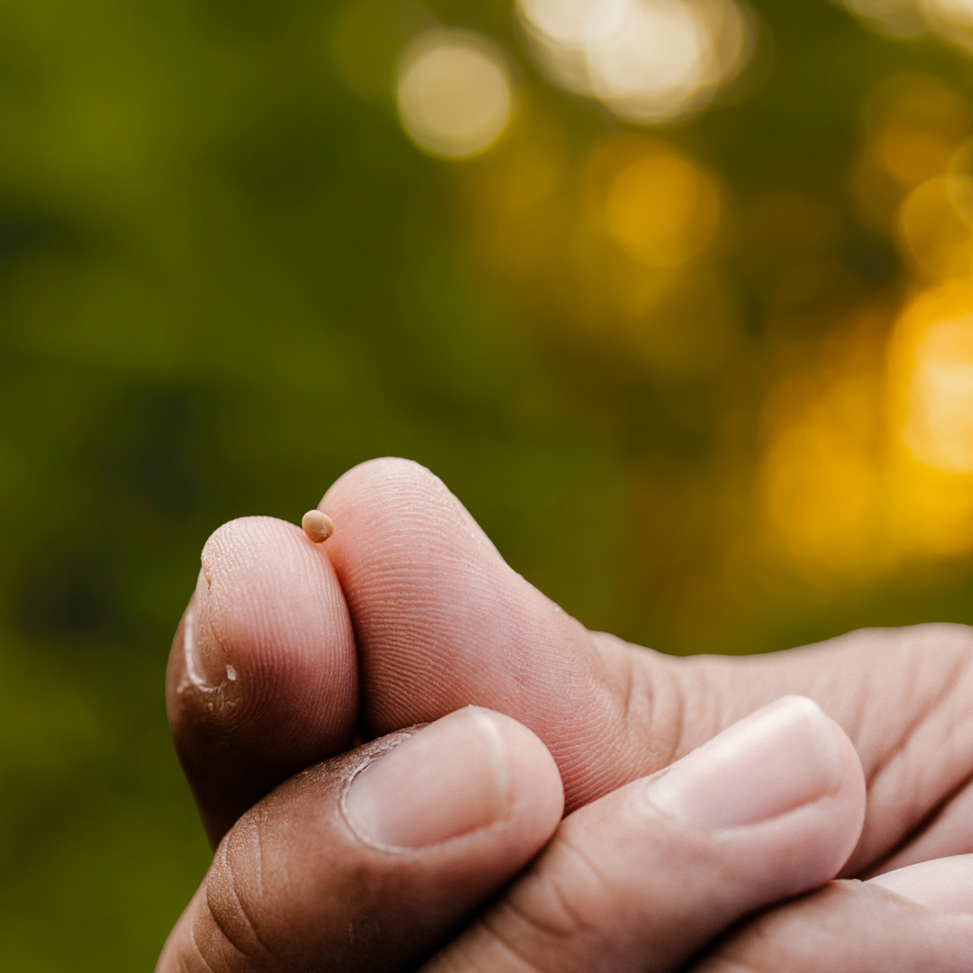 Never Give Up On Your Dreams